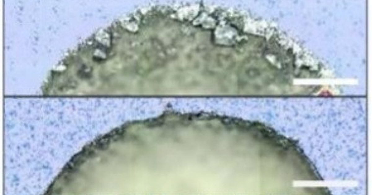 Graphene additives show a new way to control the structure of… | KCMC