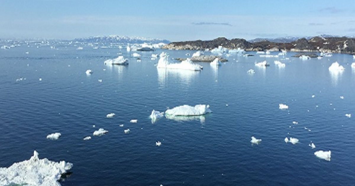 University of Liverpool launches new climate-related programmes | KCMC